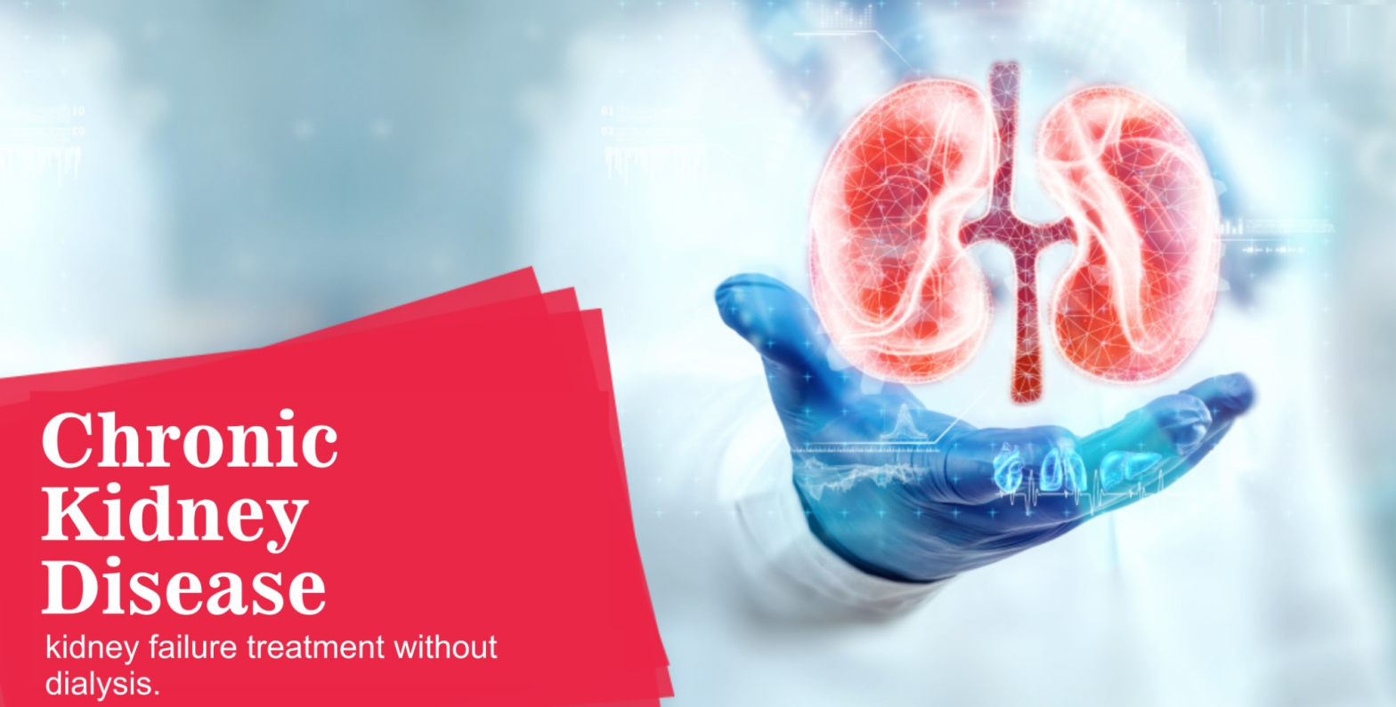 Chronic Kidney Disease - Prevention, Symptoms, and Treatments