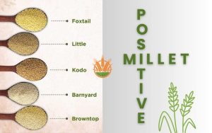 What are Millets? Discover Different Types of Millet | Millet Recipes