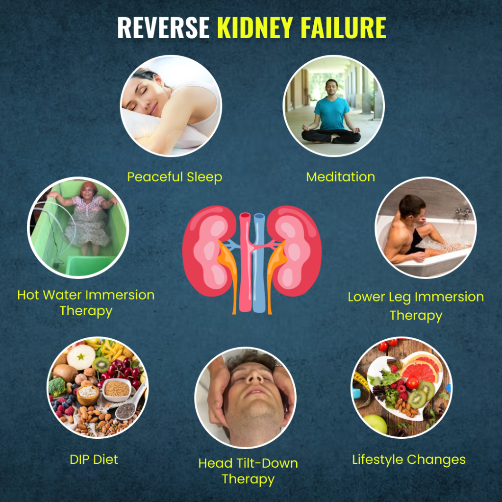 Natural Ways to Reverse Kidney Failure with Ayurvedic Treatments